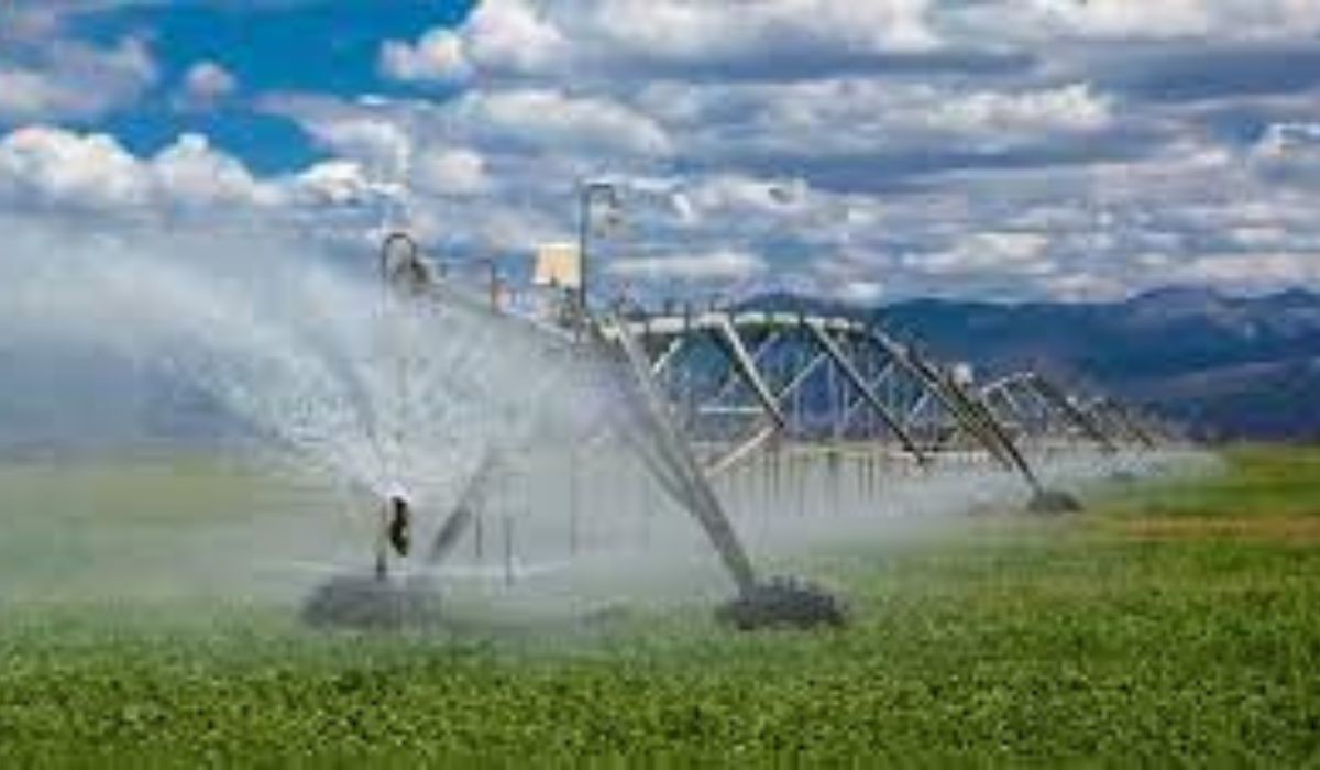 Farmers In Africa Need Basics In Irrigation For Sustainable Farming And ...
